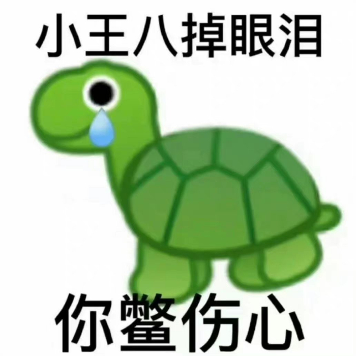 你没事吧表情包