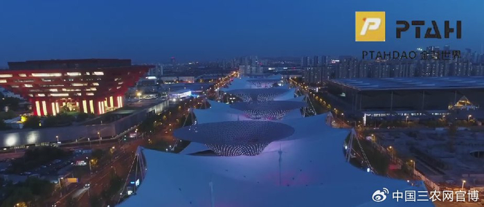 普塔道ptahdao如何？我的真实投资经历告诉你答案|收益_新浪新闻