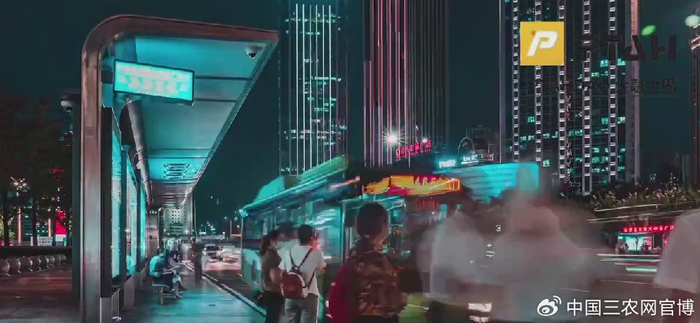 普塔道ptahdao如何？我的真实投资经历告诉你答案|收益_新浪新闻