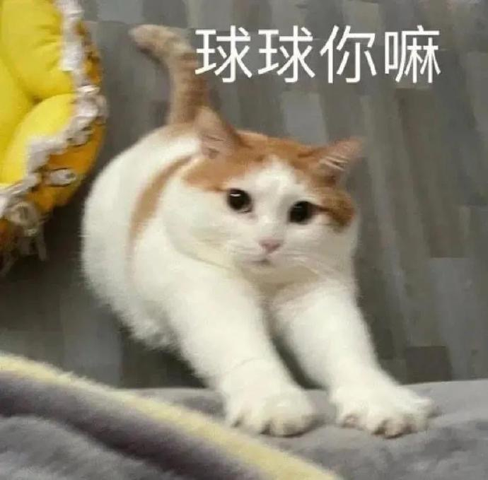 常用的聊天表情包