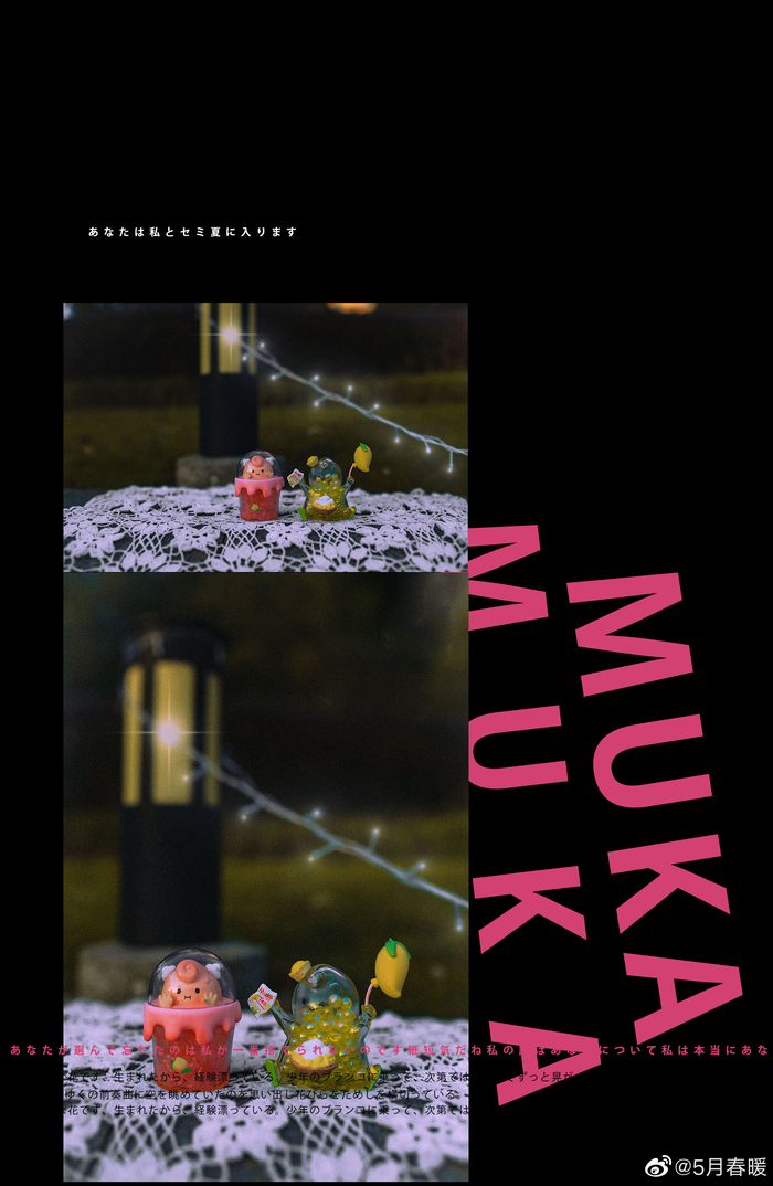 MUKAMUKA@西萌宝宝星球