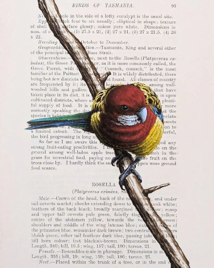 插画师 Craig Williams__财经头条