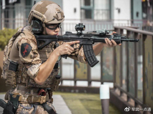 解读中国191步枪的优异性能与独特魅力