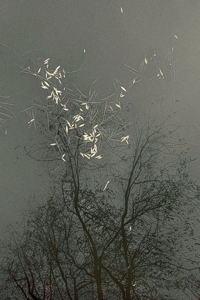 禅意风景 摄影丨Sasa Gyoker__财经头条