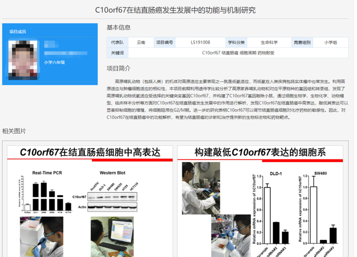 科学、情爱、伦理，这部颜值爆表的科幻片值得一看|癌症|凯西|汤米|露丝|村舍_新浪娱乐_新浪新闻
