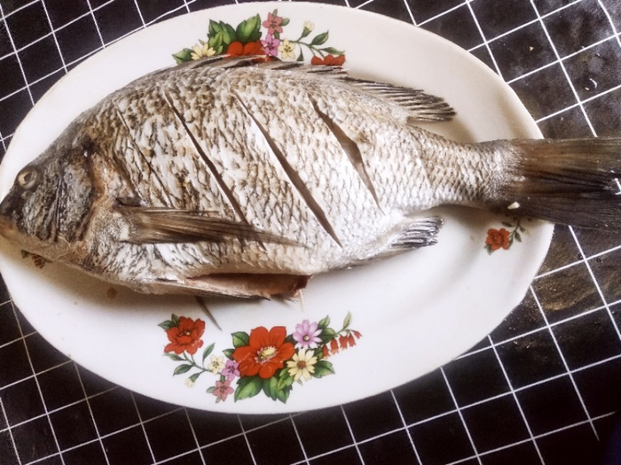 这种叫嘉吉鱼的海鱼，遇到就不要错过，这么炖，汤浓肉香，味真正|嘉吉|鱼|海鱼_新浪新闻