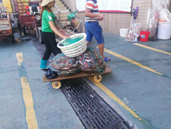 广东这“海滨”城市，是中国“最佳”产蚝地之一，游客：鲜翻味蕾