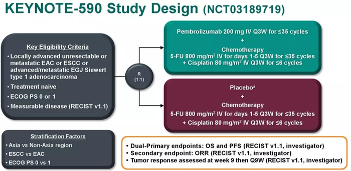 KEYNOTE-590挑战食管癌一线治疗全胜—抗癌管家