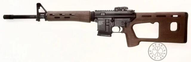 AR - 15与SVD结合俄罗斯人的奇葩枪械套件美式武器变成苏联风格|步枪_新浪军事_新浪新闻