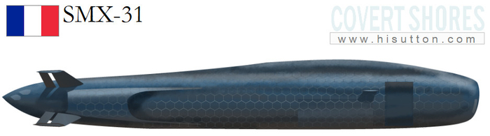 2040年的潜艇会是什么样子，海军集团推出SMX31E全电动潜艇概念