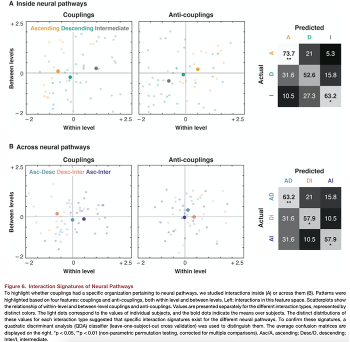 Neuron：基于静息态fMRI的动态功能连接揭示脊髓的精细内部架构|框架_新浪新闻