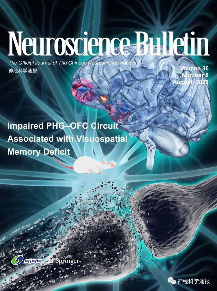 Neuroscience Bulletin：新的调整，不忘初心，继续前行！|论文_新浪新闻