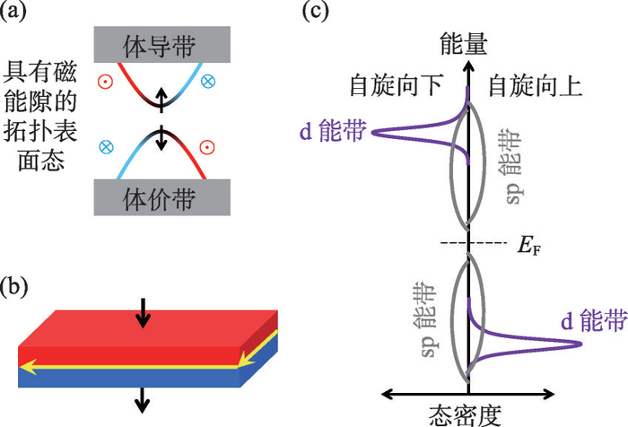 从磁性掺杂拓扑绝缘体到内禀磁性拓扑绝缘体 ——通往高温量子反常霍尔效应之路|量子|电子_新浪新闻
