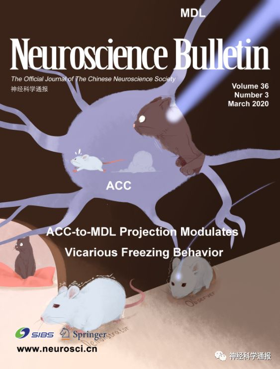 Neuroscience Bulletin最新封面文章：共情的神经基础（2020.03）|大鼠|电击|足底