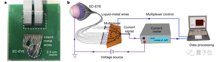 Nature：首个完全复现人眼的仿生眼问世，港科大造出半球形人工视网膜，感光性能超过人眼460倍__财经头条