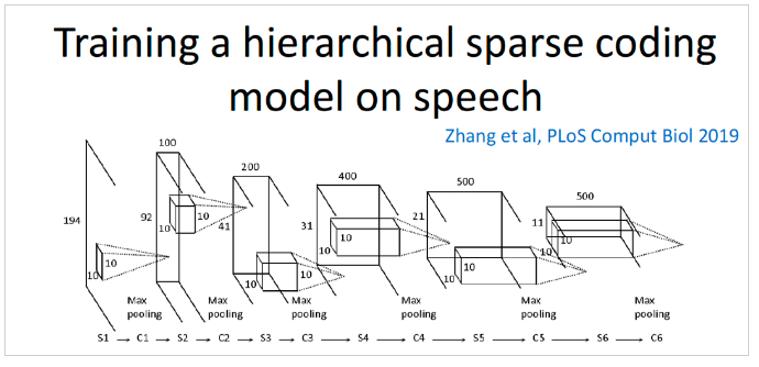 多位脑科学家和AI技术专家，深度探讨人工智能与脑科学的发展以及相互影响|脑科学|突触_新浪新闻