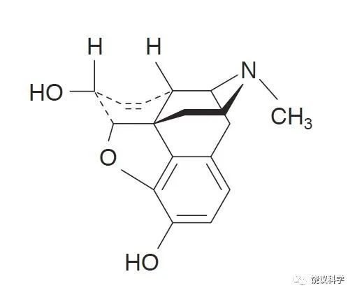 饶毅书稿：鸦片与吗啡 ——《生物学概念与途径》2020版