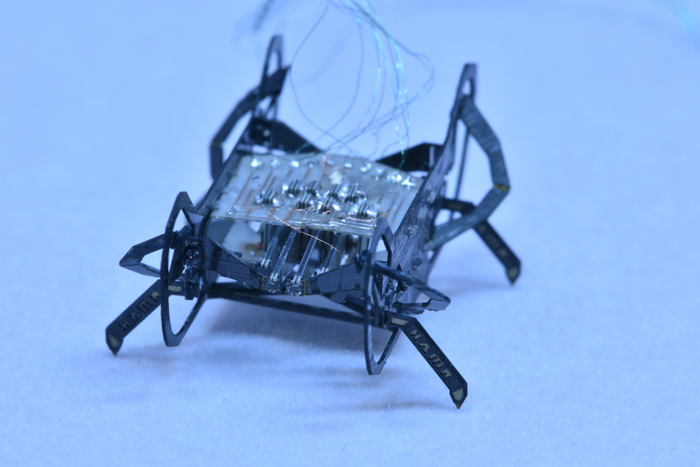 哈佛开发目前最小最快爬虫机器人：能跑能跳，只有蟑螂小腿高