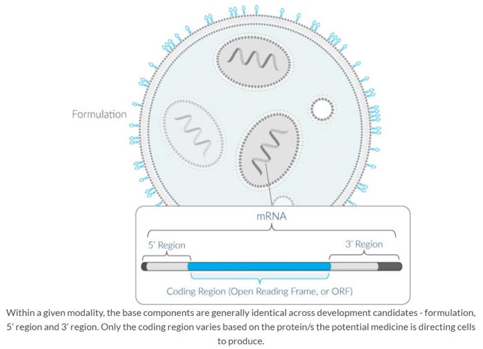 Flagship合伙人：以Moderna为例，如何定义高效、高增值潜能的生物平台__财经头条