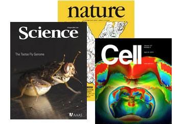 CNS论文最新排名：中科大超上交、浙大,华科、中山大学进前十!|论文|中山大学|排名_新浪新闻