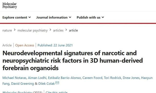 3D人源前脑类器官中麻醉剂和神经精神风险因素的神经发育特征|DNA|人类|大麻|皮质醇_新浪新闻