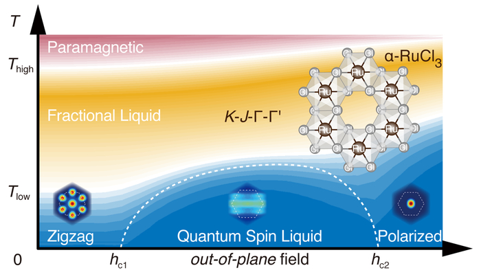众里寻他千百度—量子磁体微观模型的多体计算自动寻参 | 研究快讯