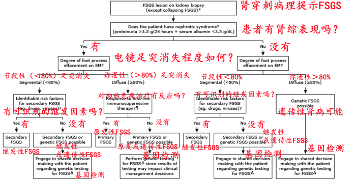 局灶节段性肾小球硬化（FSGS）的60条常识，分享给需要了解的朋友