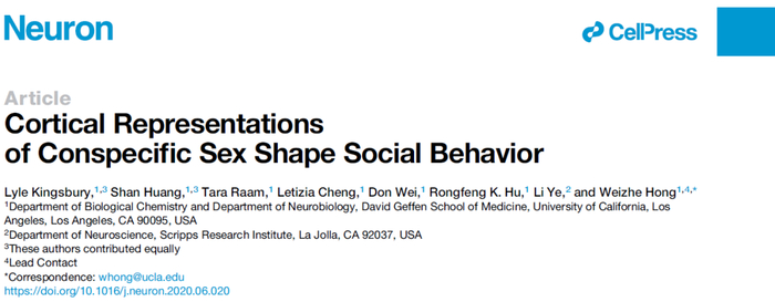 UCLA洪暐哲团队连续发表Cell、Nature、Nat Neurosci和Neuron|加州大学洛杉矶分校_新浪新闻