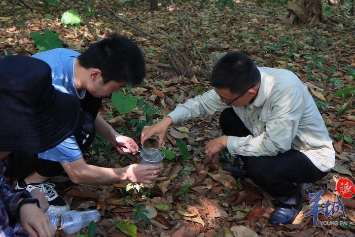 【中英双语】广州海珠国家湿地公园发现昆虫新物种