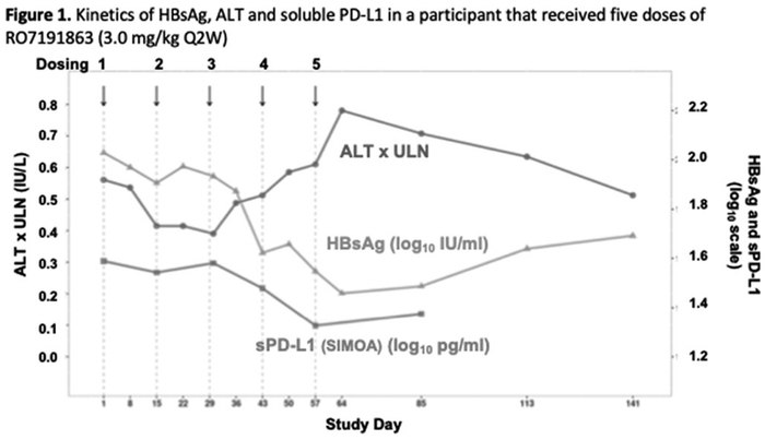 乙肝在研新药RO7191863，1期初步数据，靶向PD-L1/PD-1通路可行__财经头条