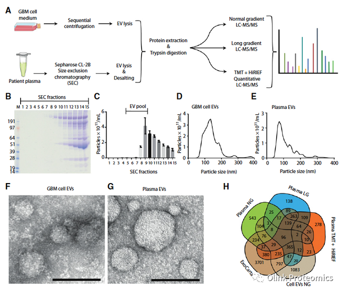 外泌体专题｜Olink超灵敏蛋白质组学加速神经领域无创型蛋白标志物开发