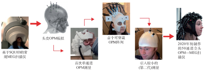 大脑的量子传感技术