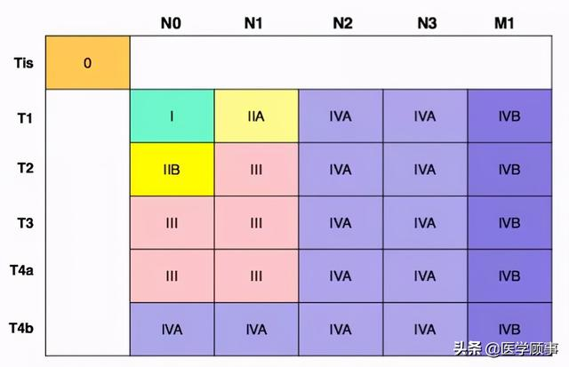 第八版指南：食管癌 TNM 分期标准