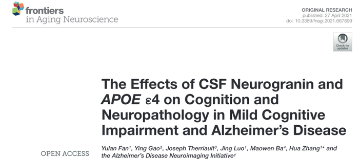 Front.Aging Neurosci：脑脊液神经粒蛋白和APOE4对轻度认知损伤和阿尔茨海默病病理的影响|突触|阳性|阴性|标志物|生物_新浪新闻