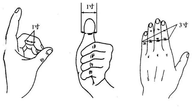 中医经络里所说的“一寸”到底是多长？