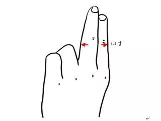 中医经络里所说的“一寸”到底是多长？