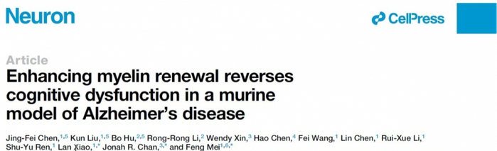 里程碑！FDA批准AD新药！Neuron：陆医大梅峰团队揭示髓鞘更新在AD中的重要作用|论文|小鼠|大脑|敲除|退化_新浪新闻
