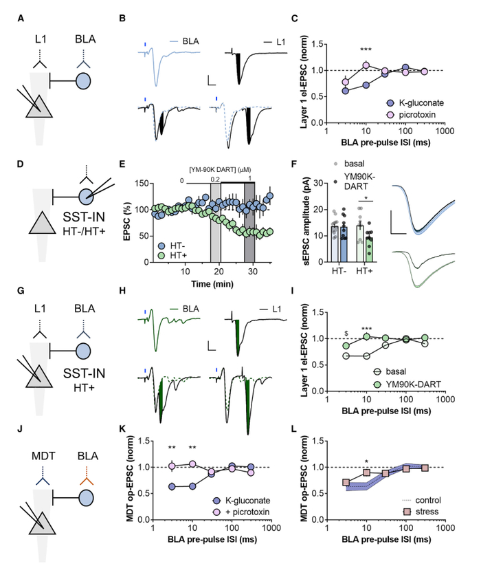 Neuron：治疗应激性精神疾病的新靶点研究
