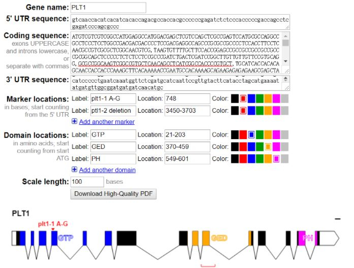 基因研究笔记|可视化|蛋白|分析工具|氨基酸|基因_新浪新闻