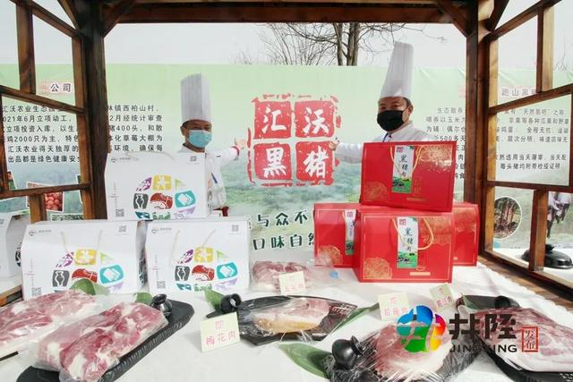 吃黑猪肉，还是井陉汇沃|黑猪|赵磊