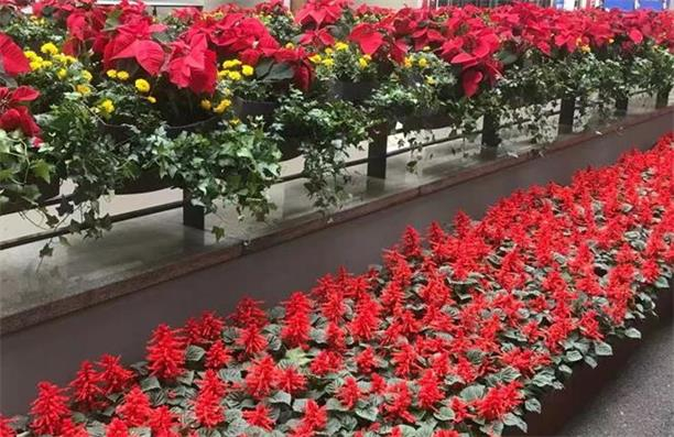 Omnistic频获富豪投资者青睐支持 或成澳洲下个独角兽？__财经头条