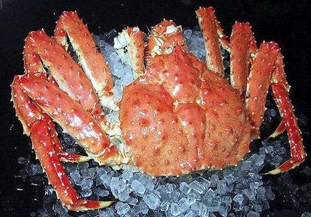 俄罗斯加快帝王蟹发货，全球贸易格局迎变数|俄罗斯|挪威|全球贸易_新浪新闻