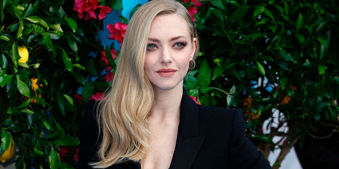 气质女神Amanda Seyfried挂牌纽约豪华公寓，简约粉嫩~__财经头条