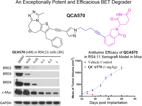 数十款靶向蛋白质降解剂研发迈入临床！多家中国药企布局|蛋白|靶向|靶点_新浪新闻