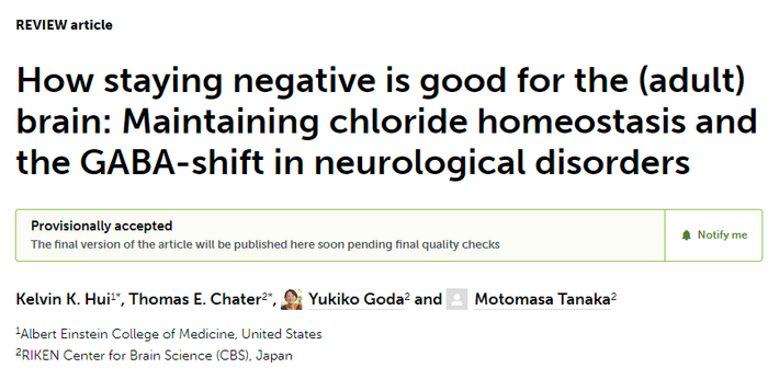 Frontiers最新综述：“GABA转换” 在神经系统疾病中的研究进展|突触_新浪新闻