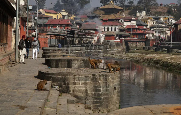 堪比3个三峡！中国拟建墨脱水电站，为何遭到印度极力反对？