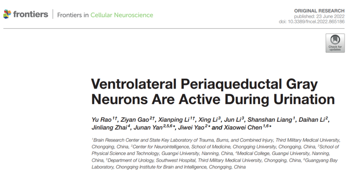 Front Cell Neurosci：VLPAG神经元的活动与排尿密切相关|重庆大学_新浪新闻