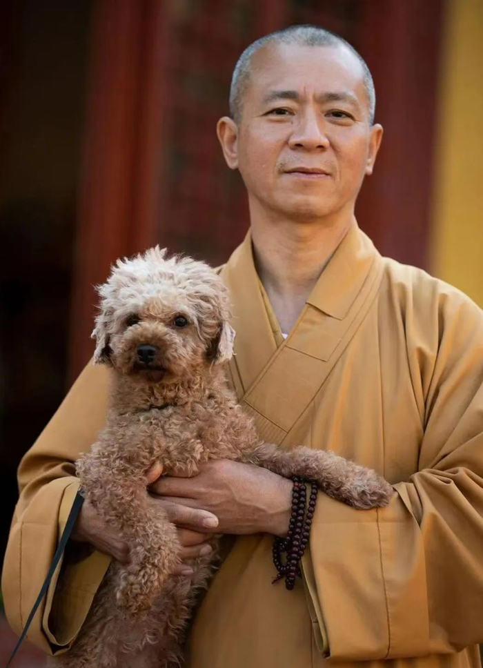 住持急求援助！上海古寺让9千猫狗有了家，如今粮食告罄，急需援助！|智祥法师|流浪动物|上海市|法师|师傅_新浪新闻