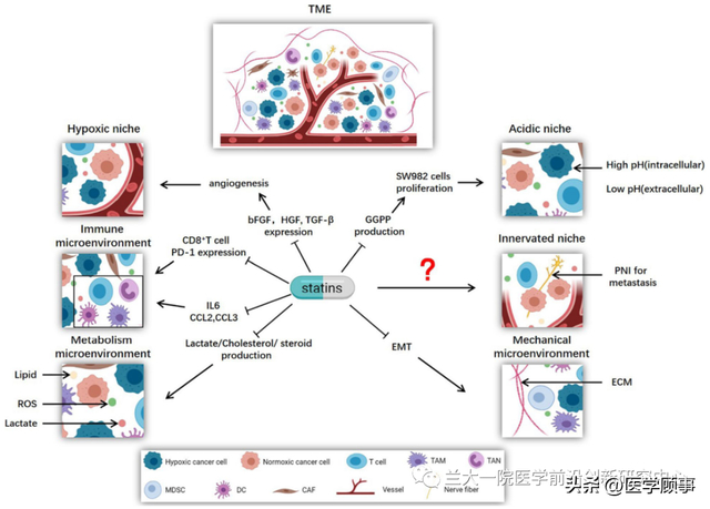 他汀类药物抗癌新机制及其应用|肿瘤_新浪新闻
