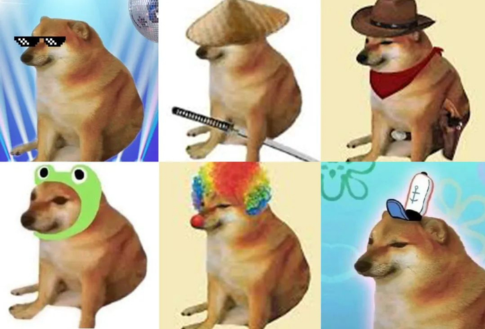 又怂又废，它是全世界最红的狗